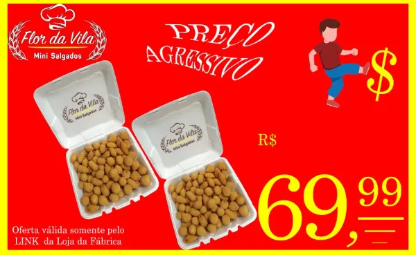 Flor da Vila Mini Salgados Vila Teixeira